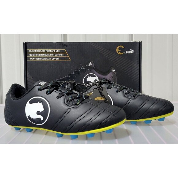 Puma | Shoes | Puma Procat Black Pitch Soccer Blue Rubber Speed Force ...